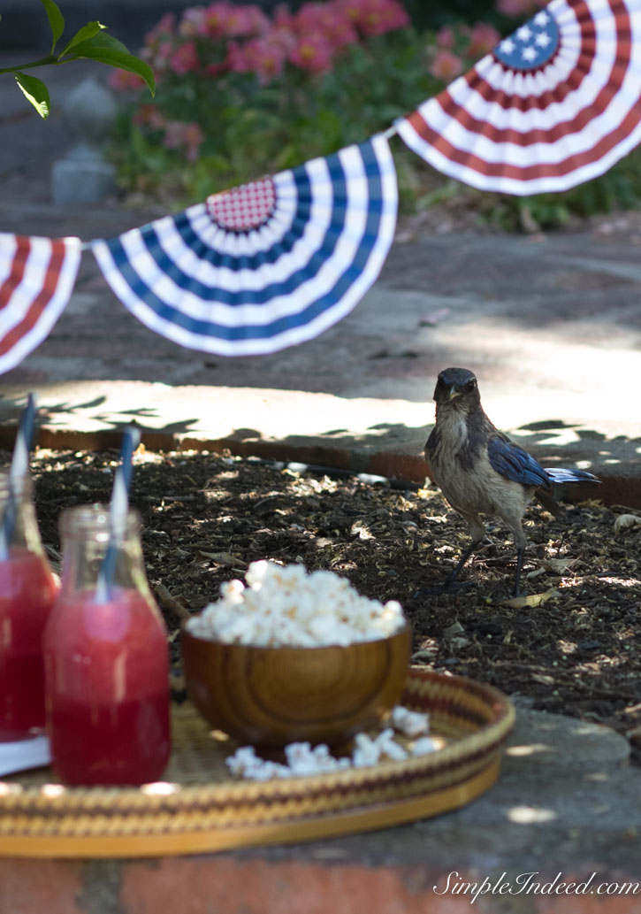 Patriotic paper fan bunting - Simple Indeed